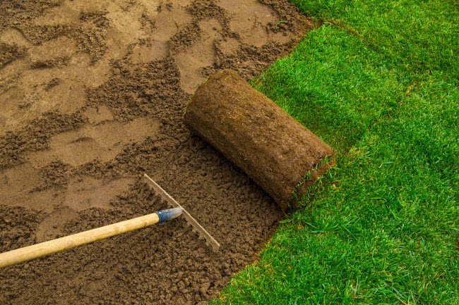 How To Lay Sod The Ultimate Guide Lawn Chick
