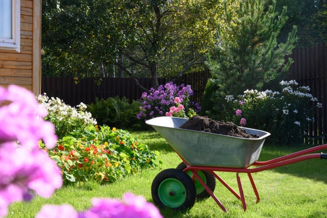 Top Dressing Lawn Guide (tips for top dressing your lawn the right way)