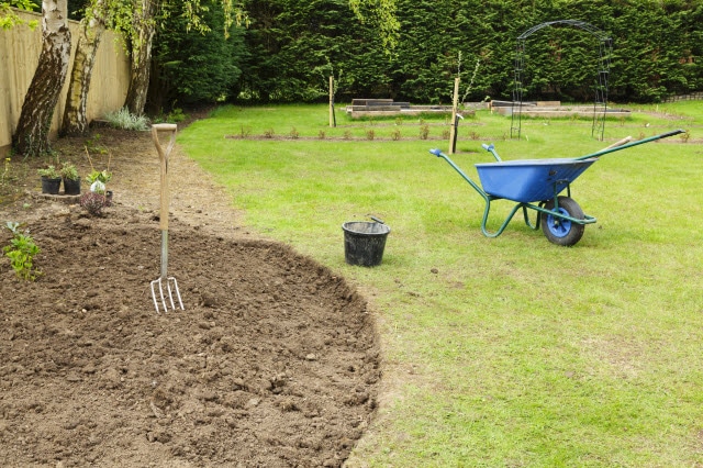 How to Remove Grass to Start a Garden (and not a weedy nightmare)