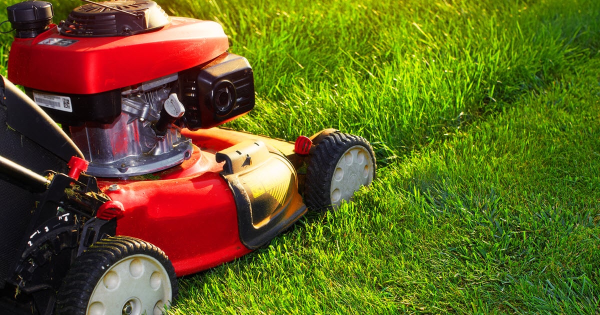 Lawn Care Tips, Guides & Information [Improve Your Lawn] - Lawn Chick