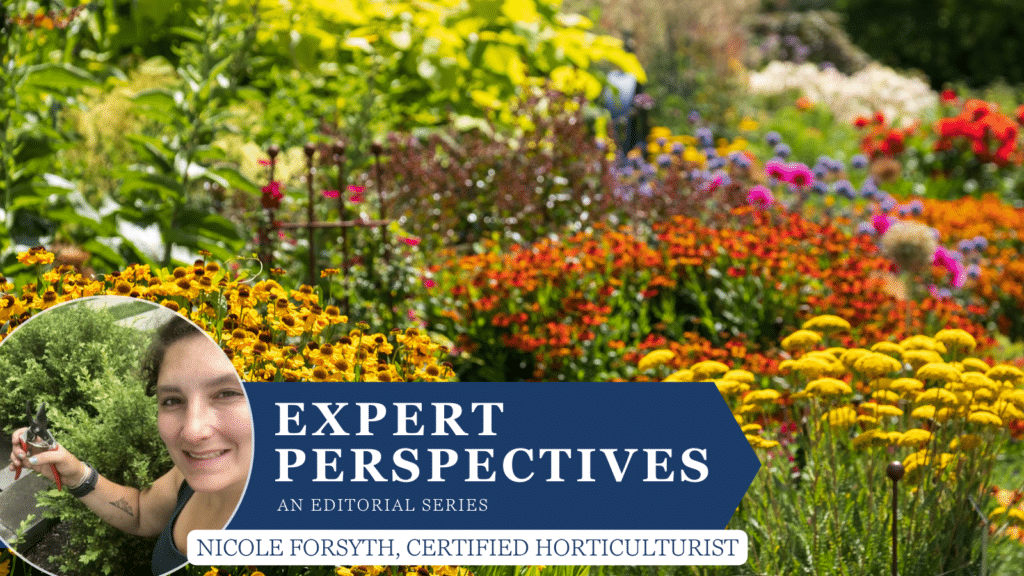 Harnessing Ecological Landscape Design Principles, Local Ecology